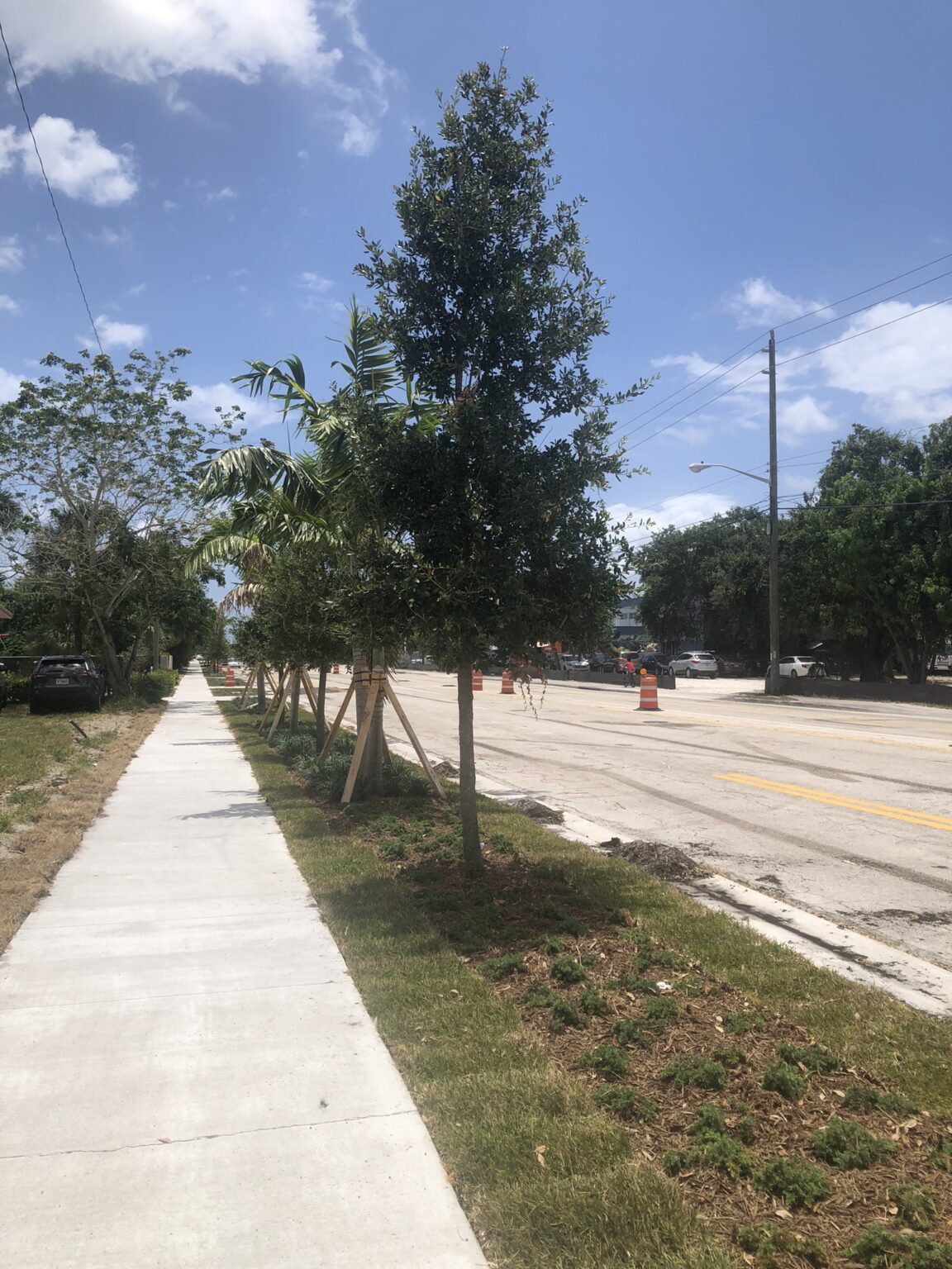 Westgate CRA Streetscapes