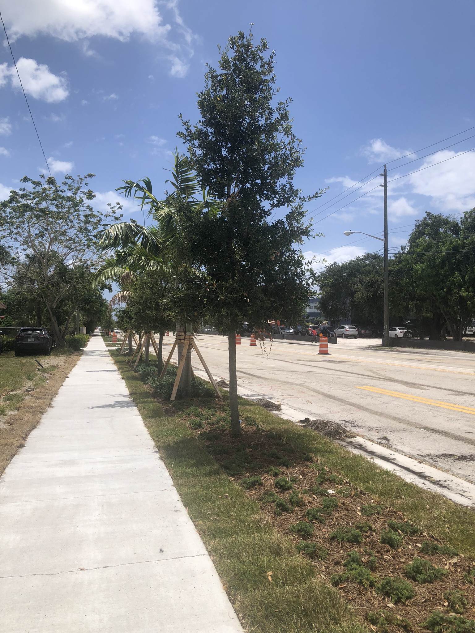 Westgate CRA Streetscapes